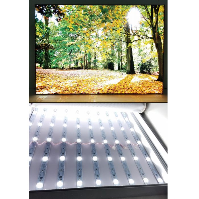 Fabric Light Boxes - Big Banner Australia